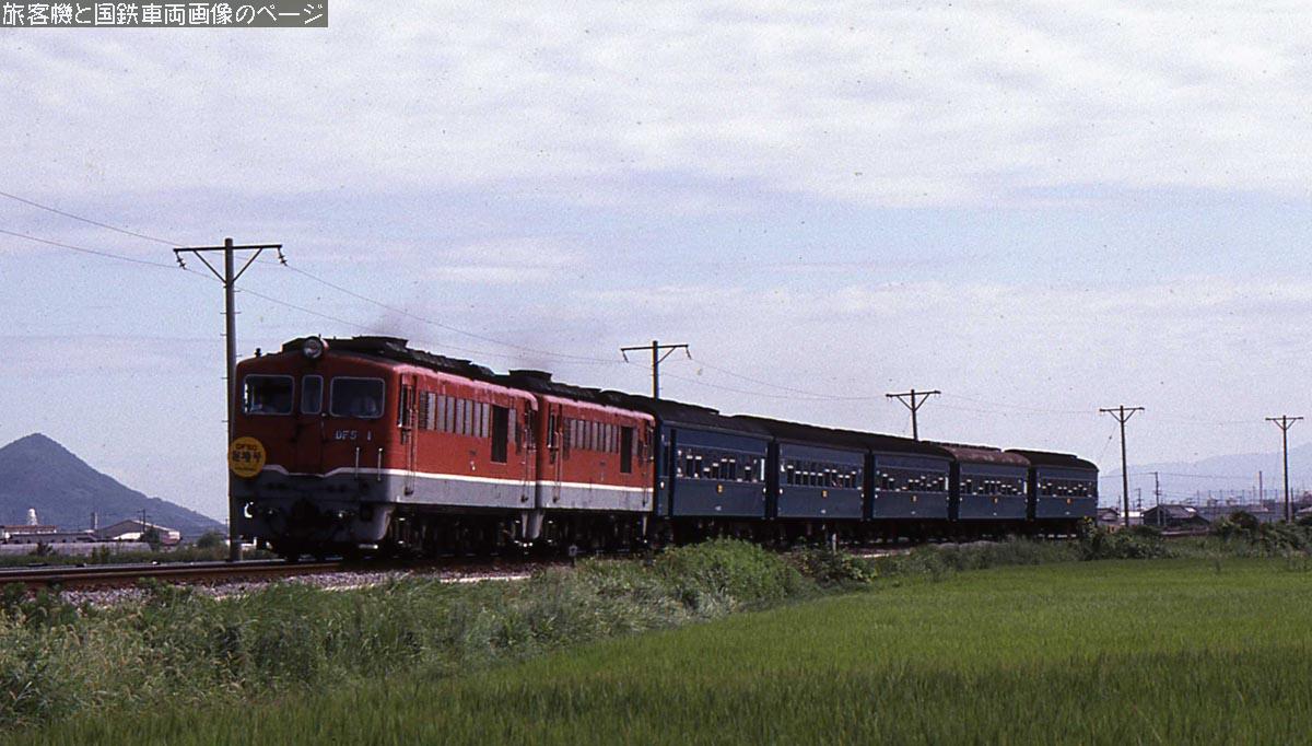 DF50 1 の画像です